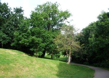 The Arboretum of Bristol, Wed 13 & 20 May 2015 - Bristol Civic Society